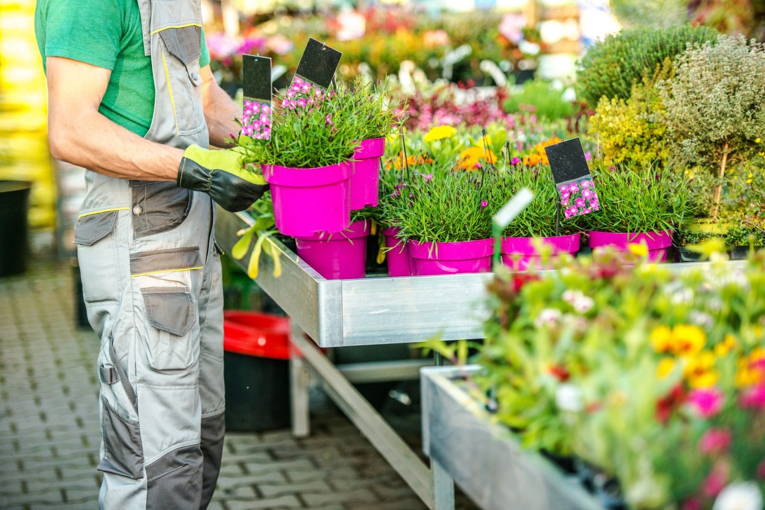 Commercial Landscape Maintenance - The Florida Groundskeeper