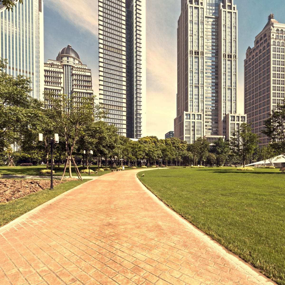 Commercial Landscape Installation - The Florida Groundskeeper